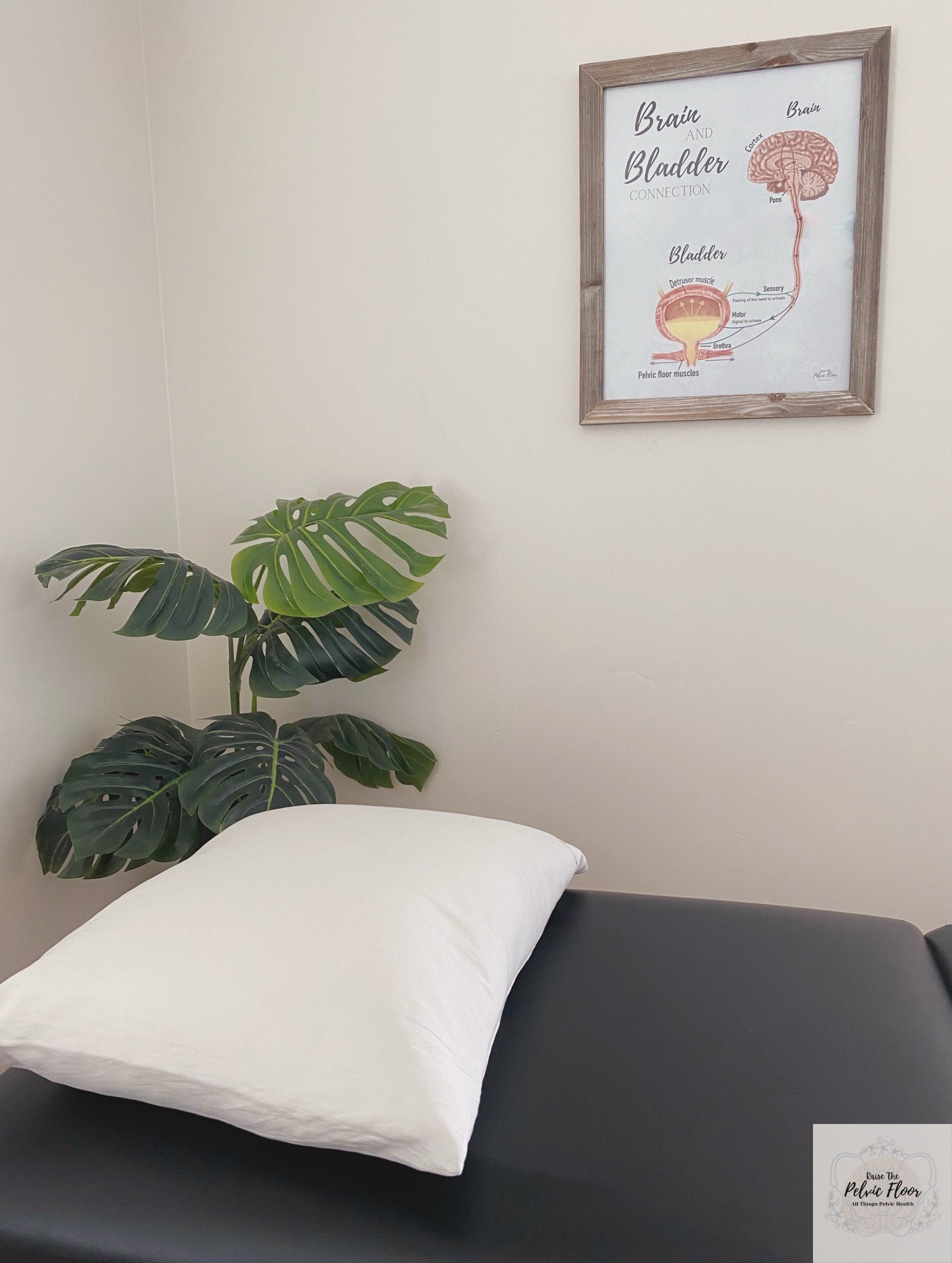 Brain and Bladder Educational Poster | Wall Art | Physiology of ...