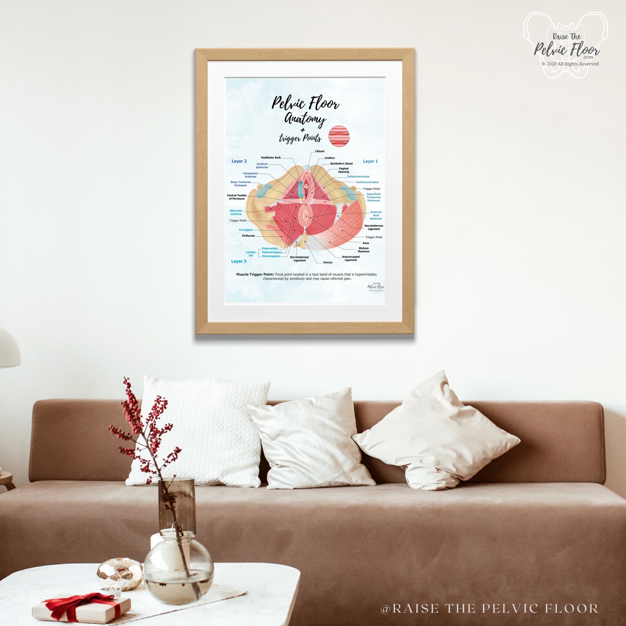 Trigger Points in Pelvic Floor Muscles | Anatomy Poster Art ...
