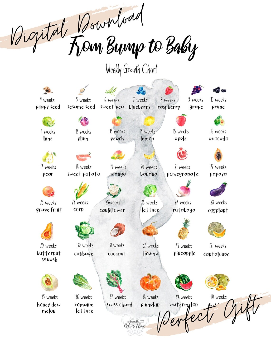 Digital Download*- Bump to Baby Weekly Fruit Growth Chart | Fetus/ Baby ...