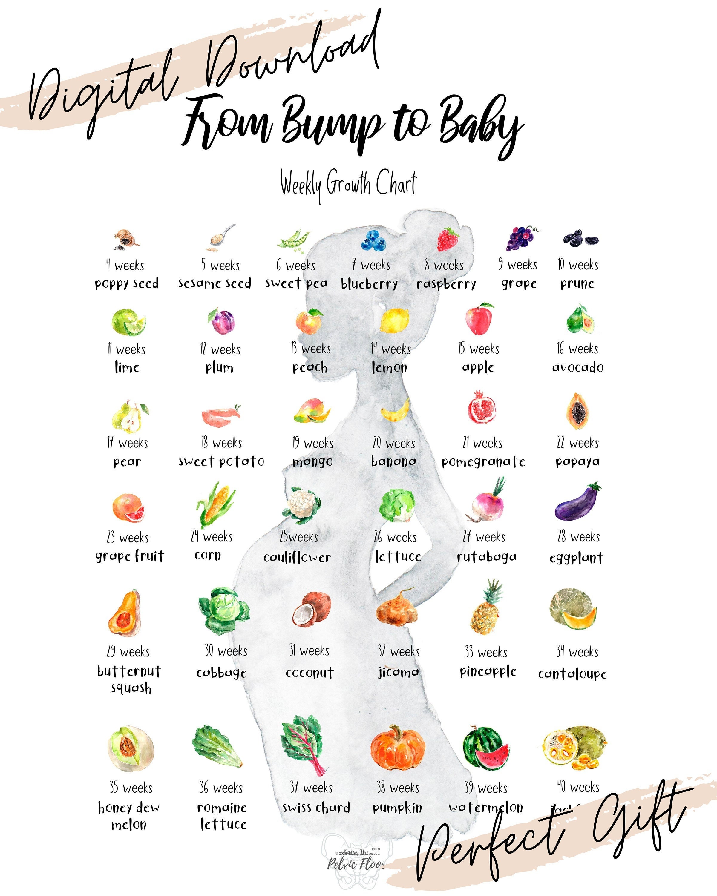 Pregnancy Bump Growth Chart Milestone Cards For Pregnancy – Mama And