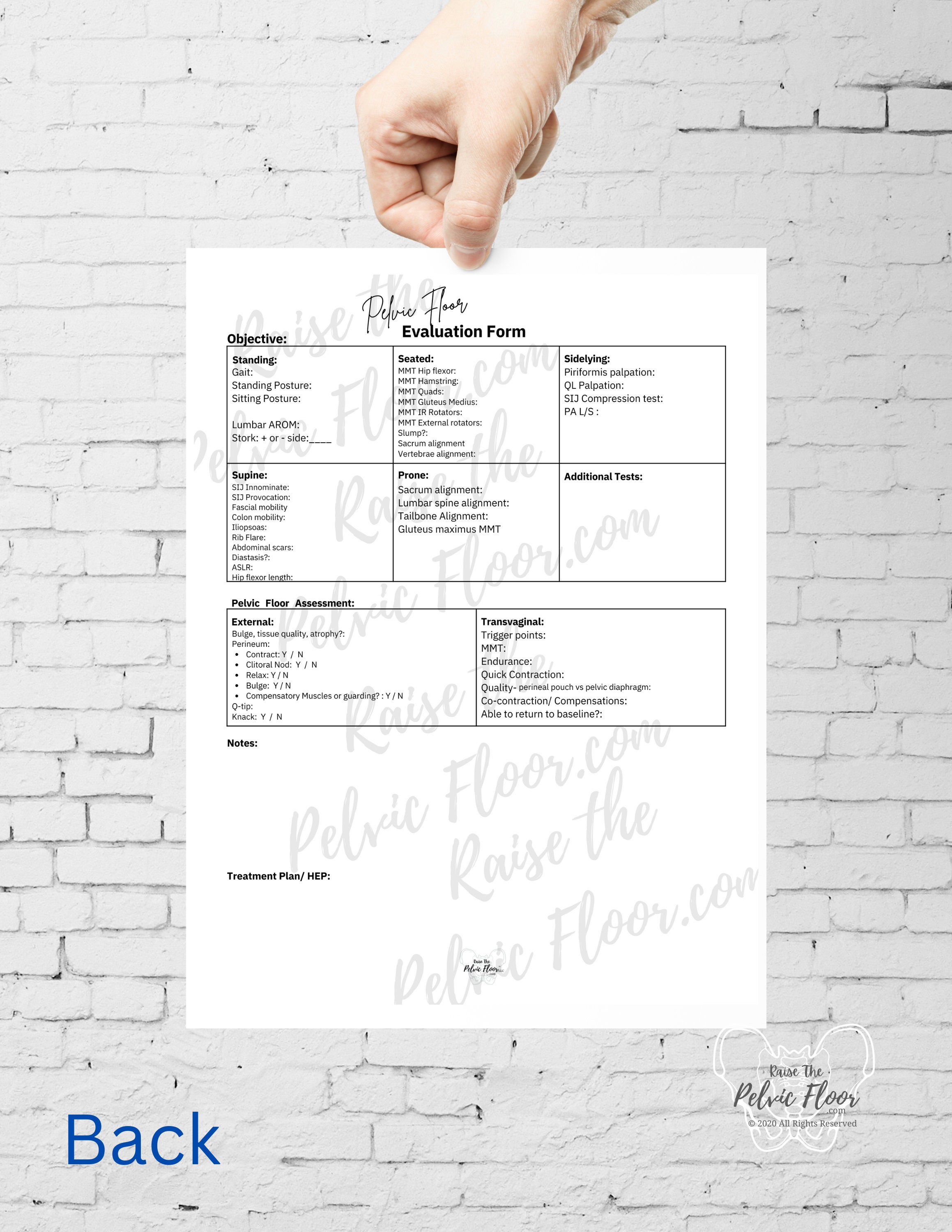 Pelvic Floor Evaluation Form Template DIGITAL DOWNLOAD - Etsy
