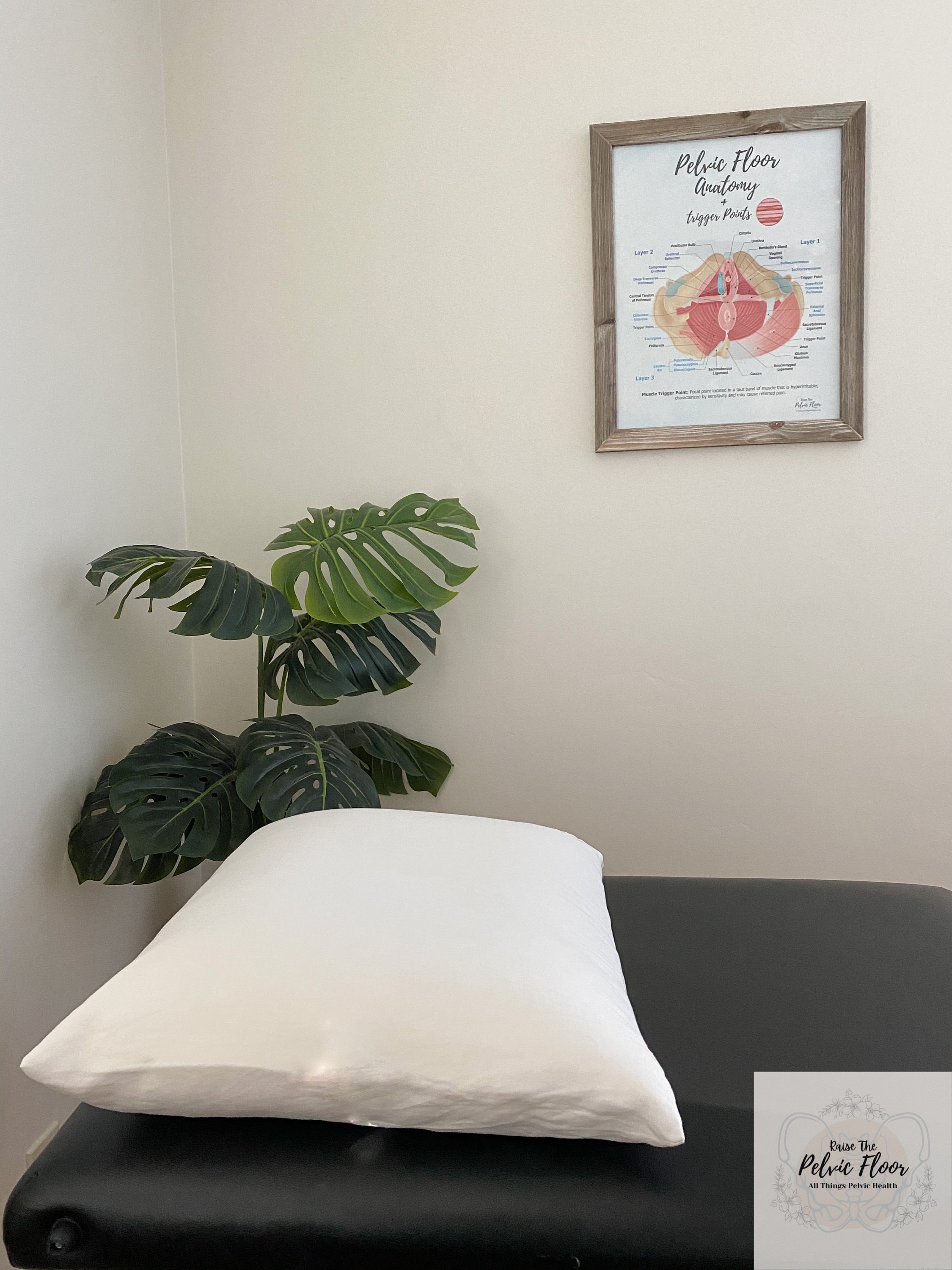 Trigger Points in Pelvic Floor Muscles | Anatomy Poster Art ...