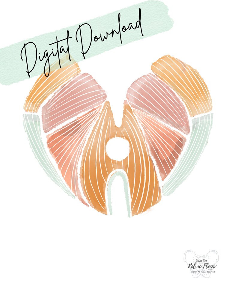 Pelvic Floor Art Abstract Watercolor DIGITAL DOWNLOAD Kegel - Etsy