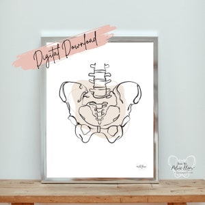 Pelvic Bones Art *digital Download* Abstract Pelvis, Line Art, Pelvic ...