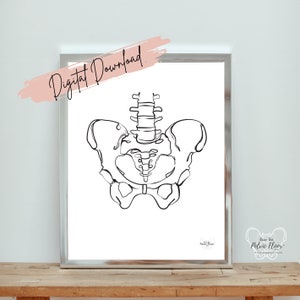 Pelvic Bones Art *digital Download* Abstract Pelvis, Line Art, Pelvic Floor Art, Medical Wall ...
