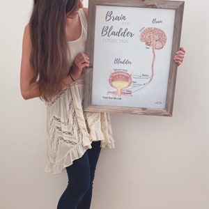 Brain and Bladder Educational Poster Wall Art | Etsy