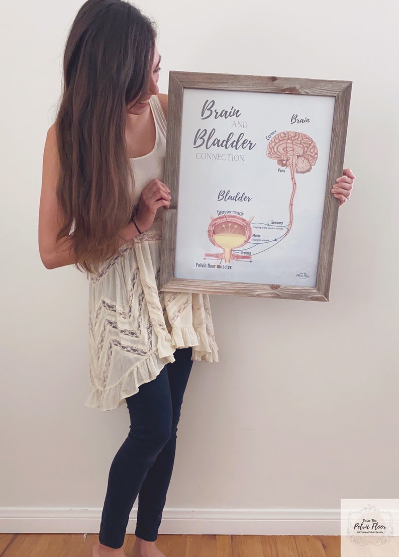 Brain and Bladder Educational Poster Wall Art Physiology - Etsy