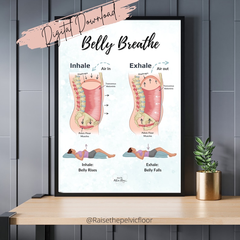 Belly Breathe Pelvic Floor *digital Download* | Pelvic Health Artwork ...