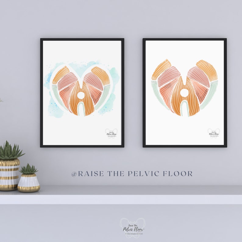 Pelvic Floor Art Abstract Watercolor DIGITAL DOWNLOAD* | Kegel Muscle ...