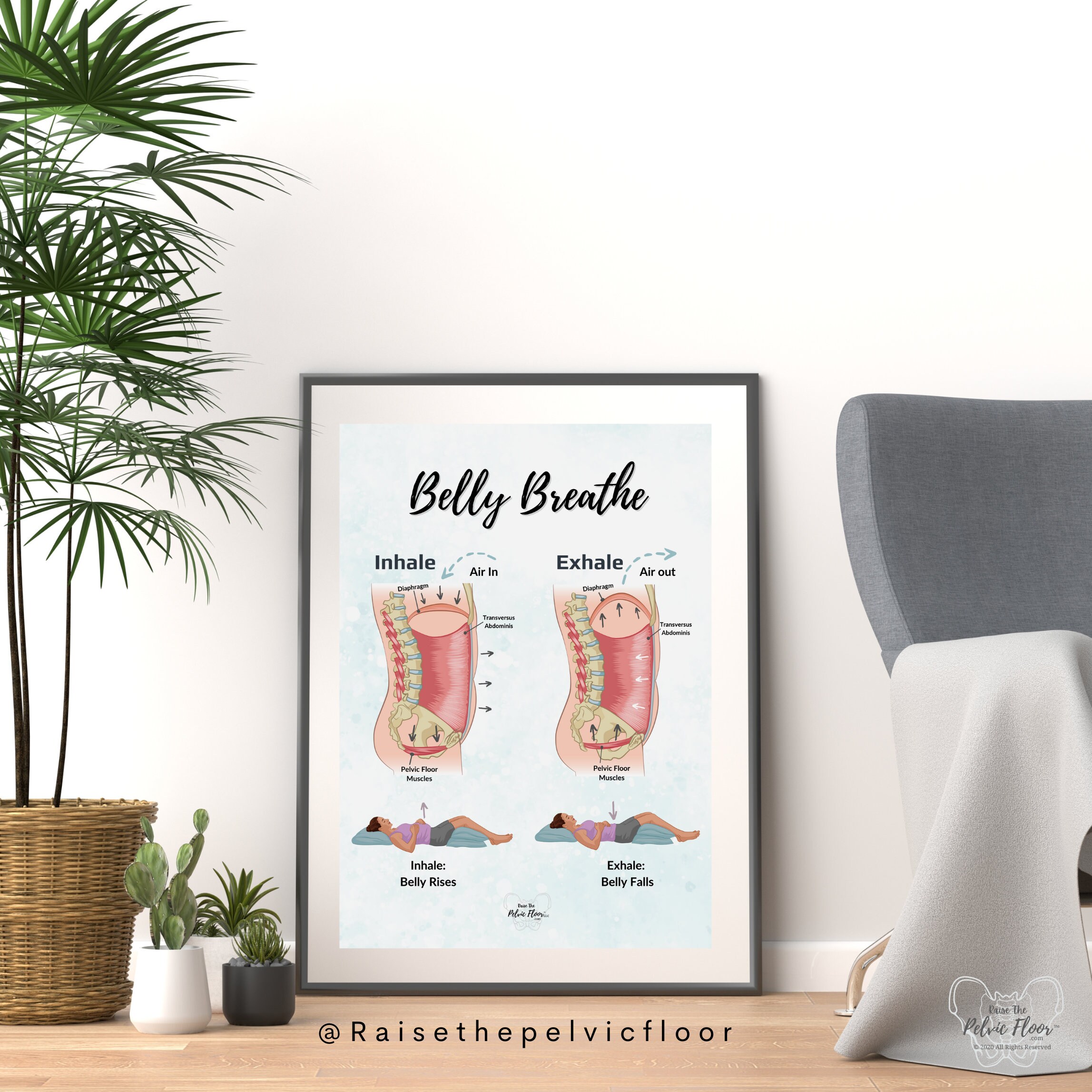 Belly Breathe Pelvic Floor digital Download Pelvic Health - Etsy