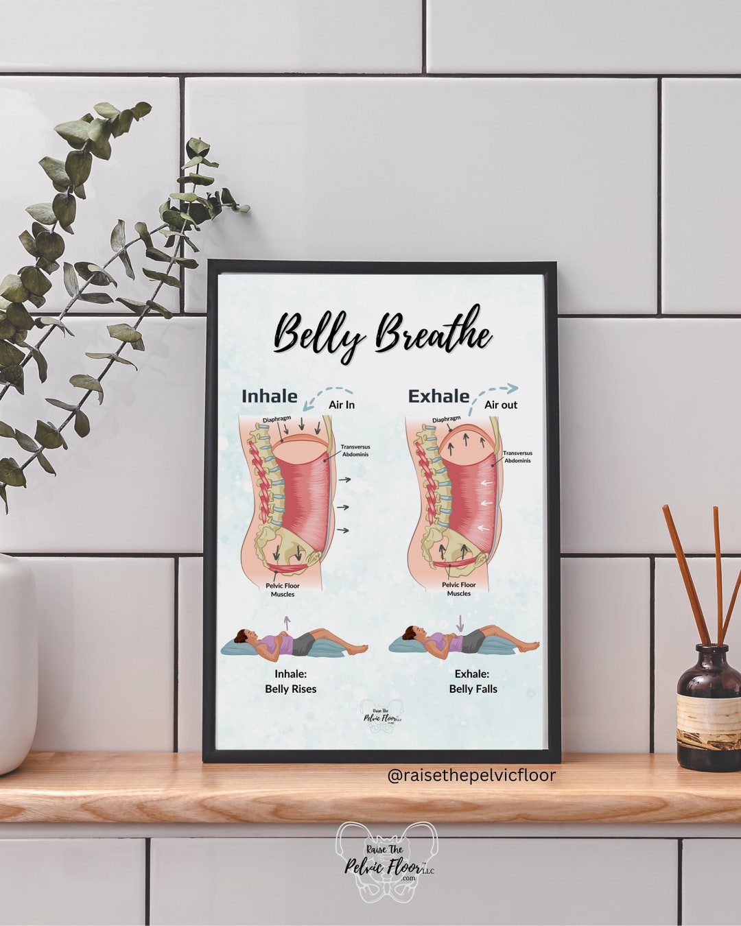 Belly Breathe Pathophysiology Breathe in Breathe Out Education Poster ...