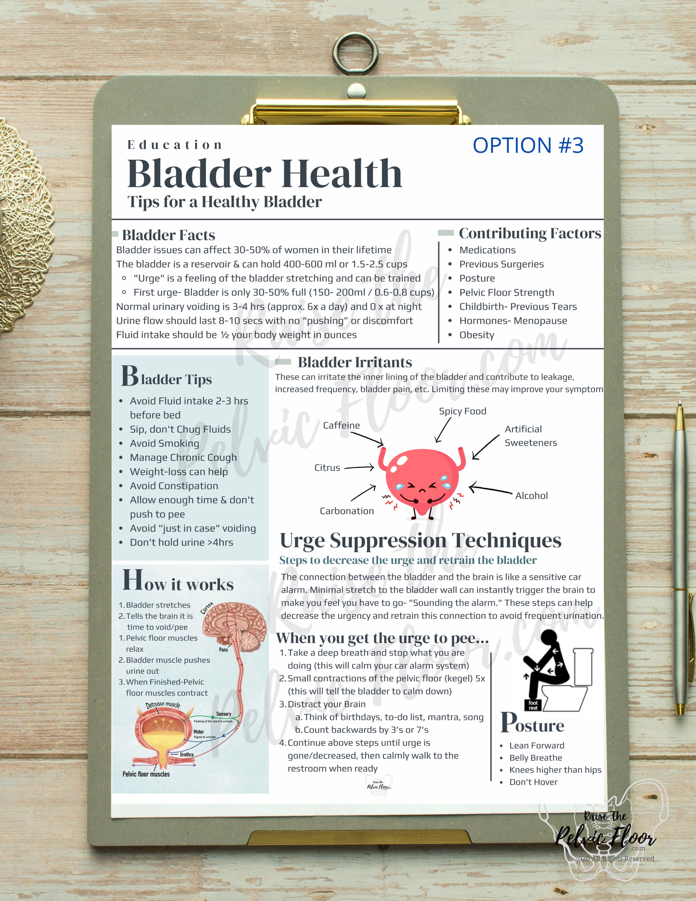 DIGITAL DOWNLOAD* Bladder Health Patient Education Handout | Bladder ...