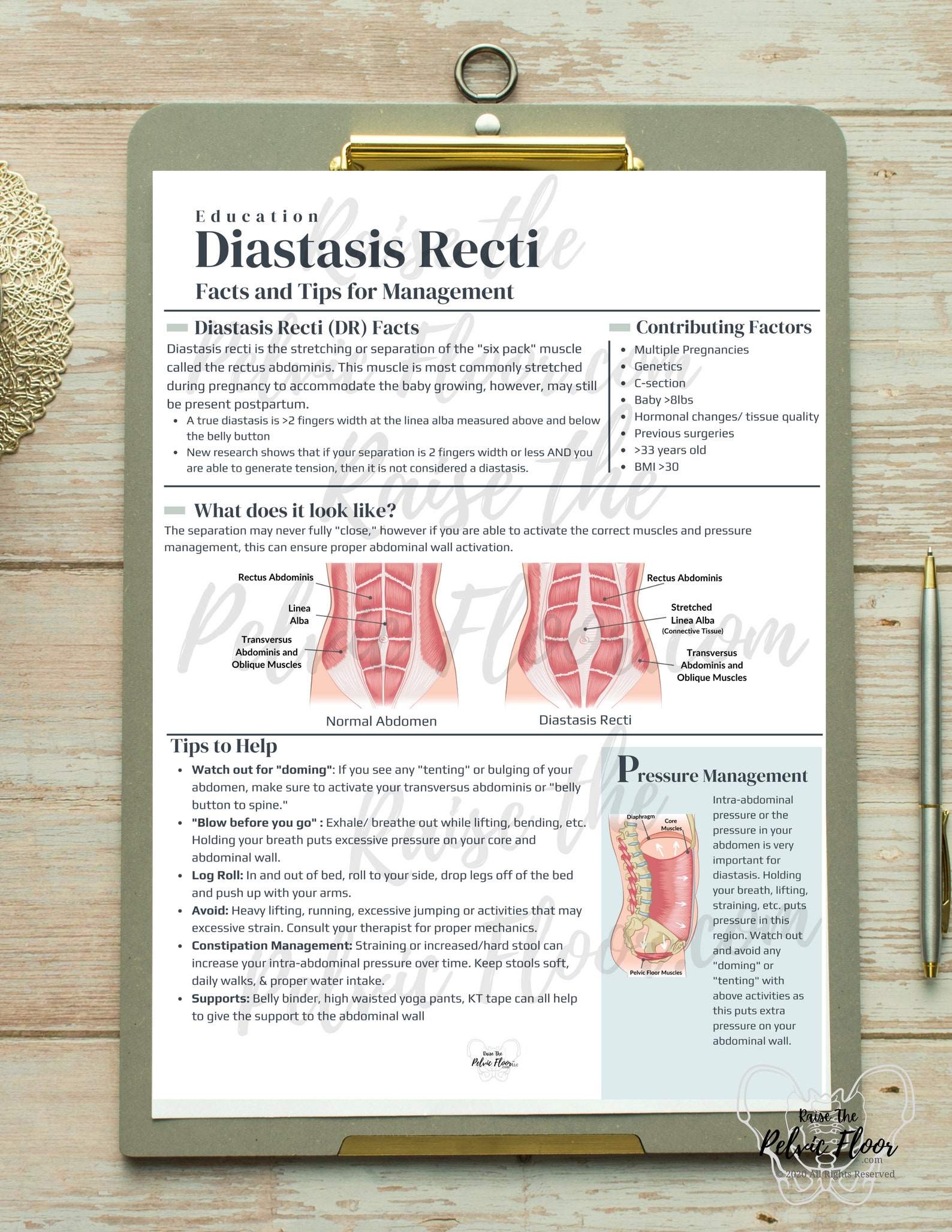 Diastasis Recti Patient Education Handout PDF Digital Download ...