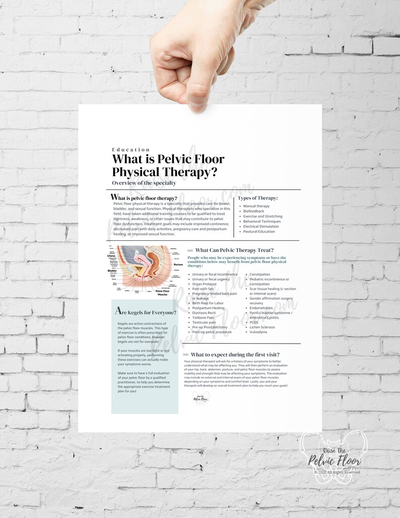 What is Pelvic Floor Physical Therapy Handout | *DIGITAL DOWNLOAD ...