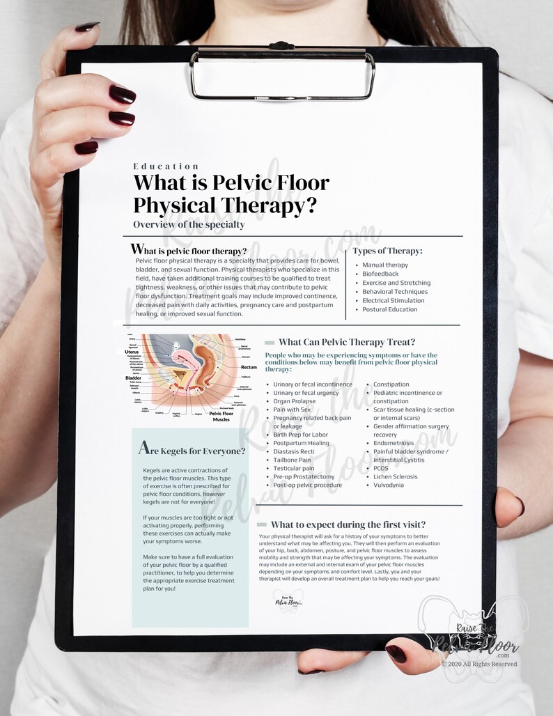 What is Pelvic Floor Physical Therapy Handout | *DIGITAL DOWNLOAD ...