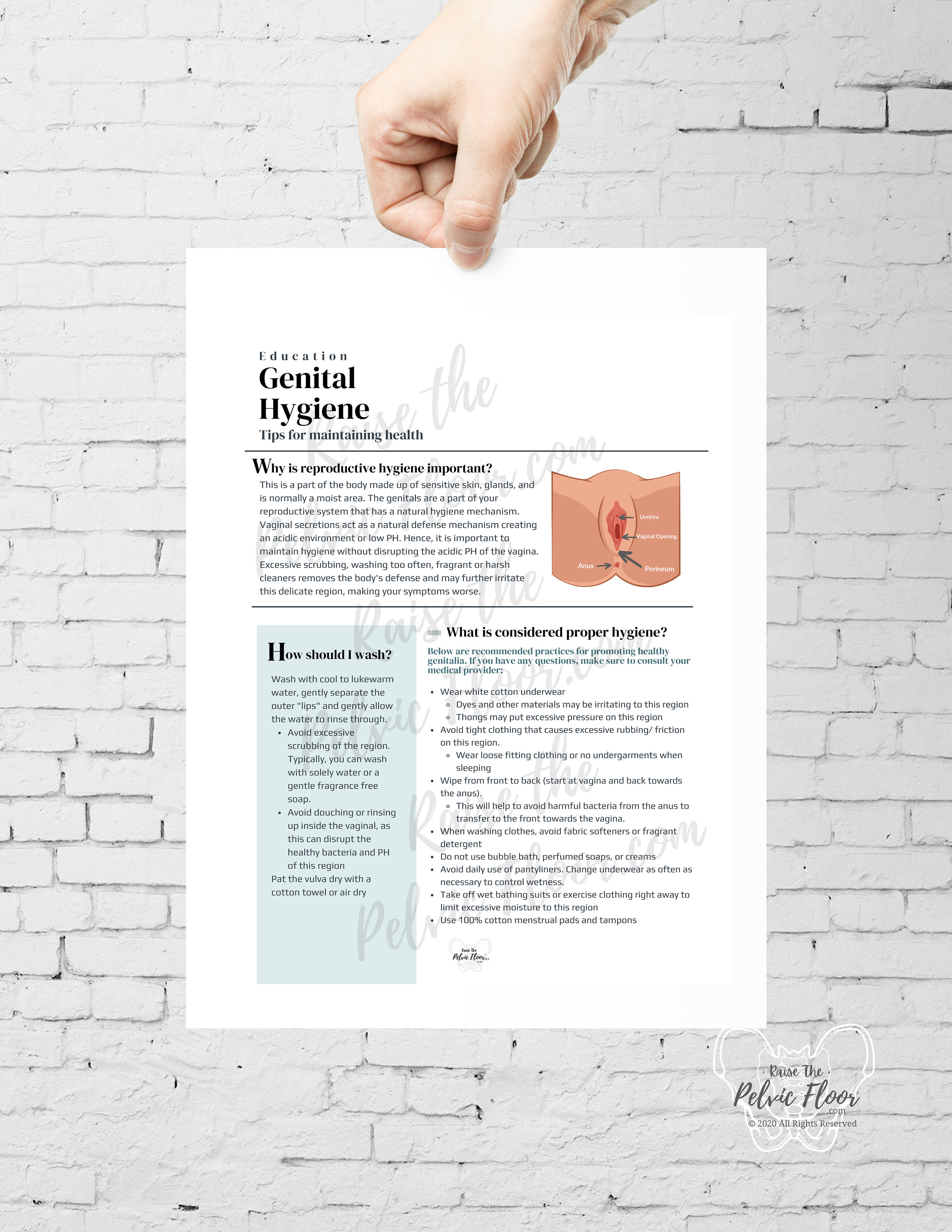 Digital Download- Reproductive/ Genital Hygiene and Vulvar Care Patient ...