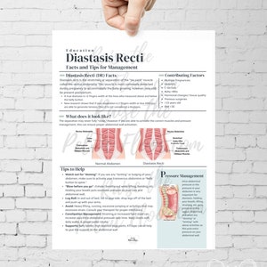 Diastasis Recti Patient Education Handout PDF Digital Download ...