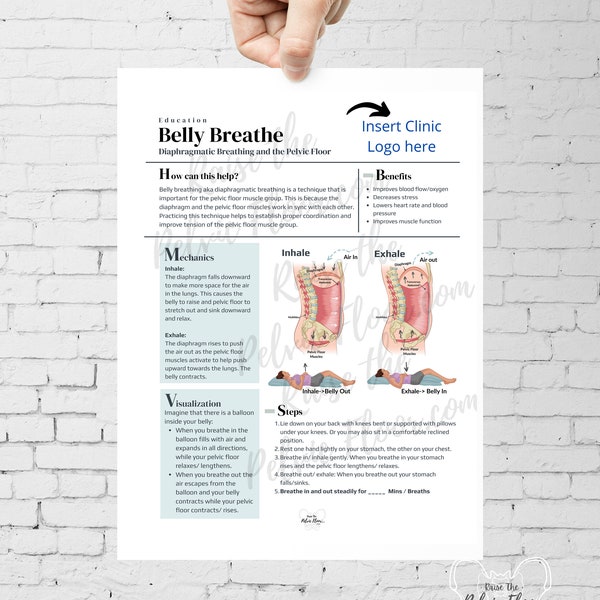 Pelvic Floor Handout - Etsy