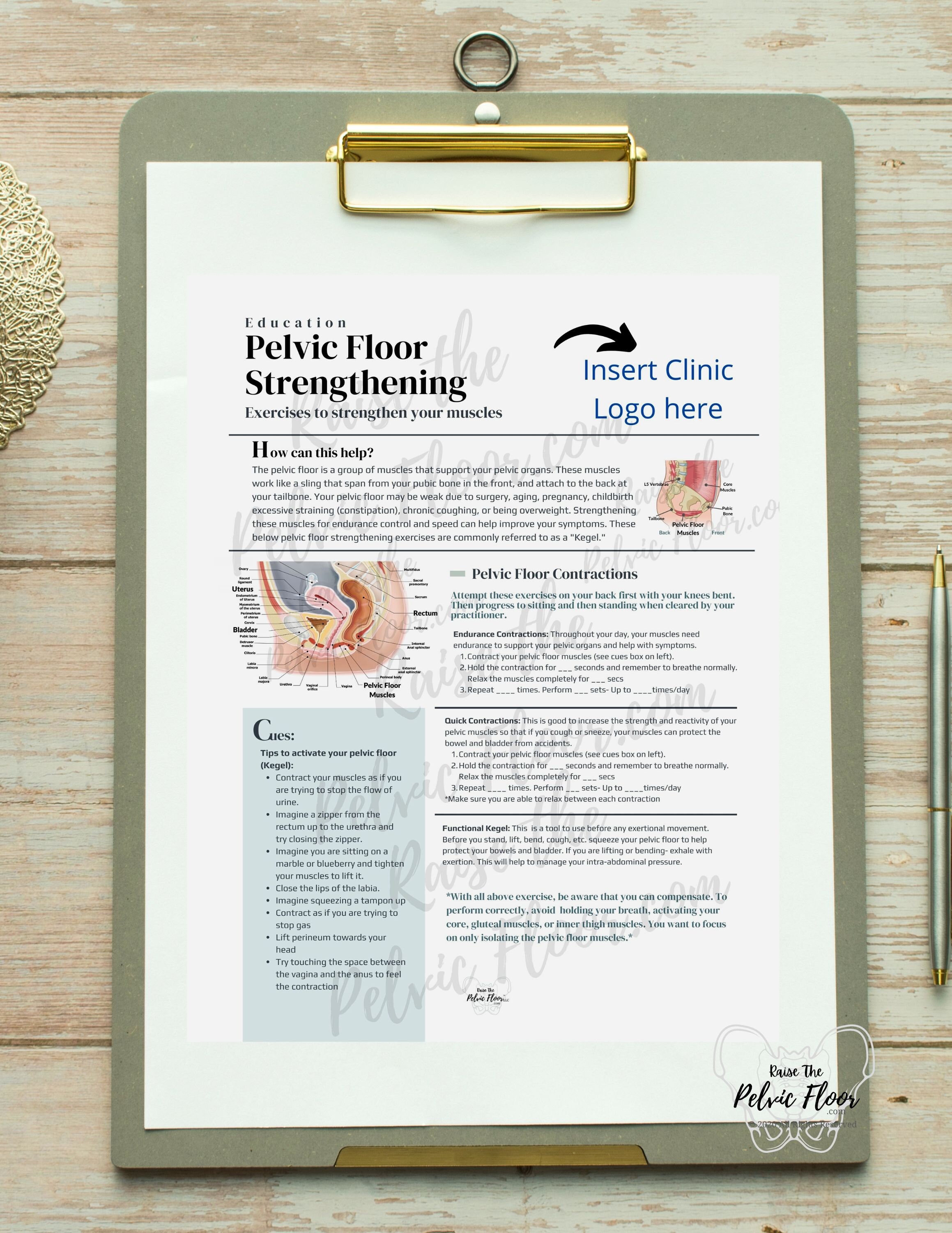 DIGITAL DOWNLOAD* Pelvic Floor Strength Exercise Patient Education ...