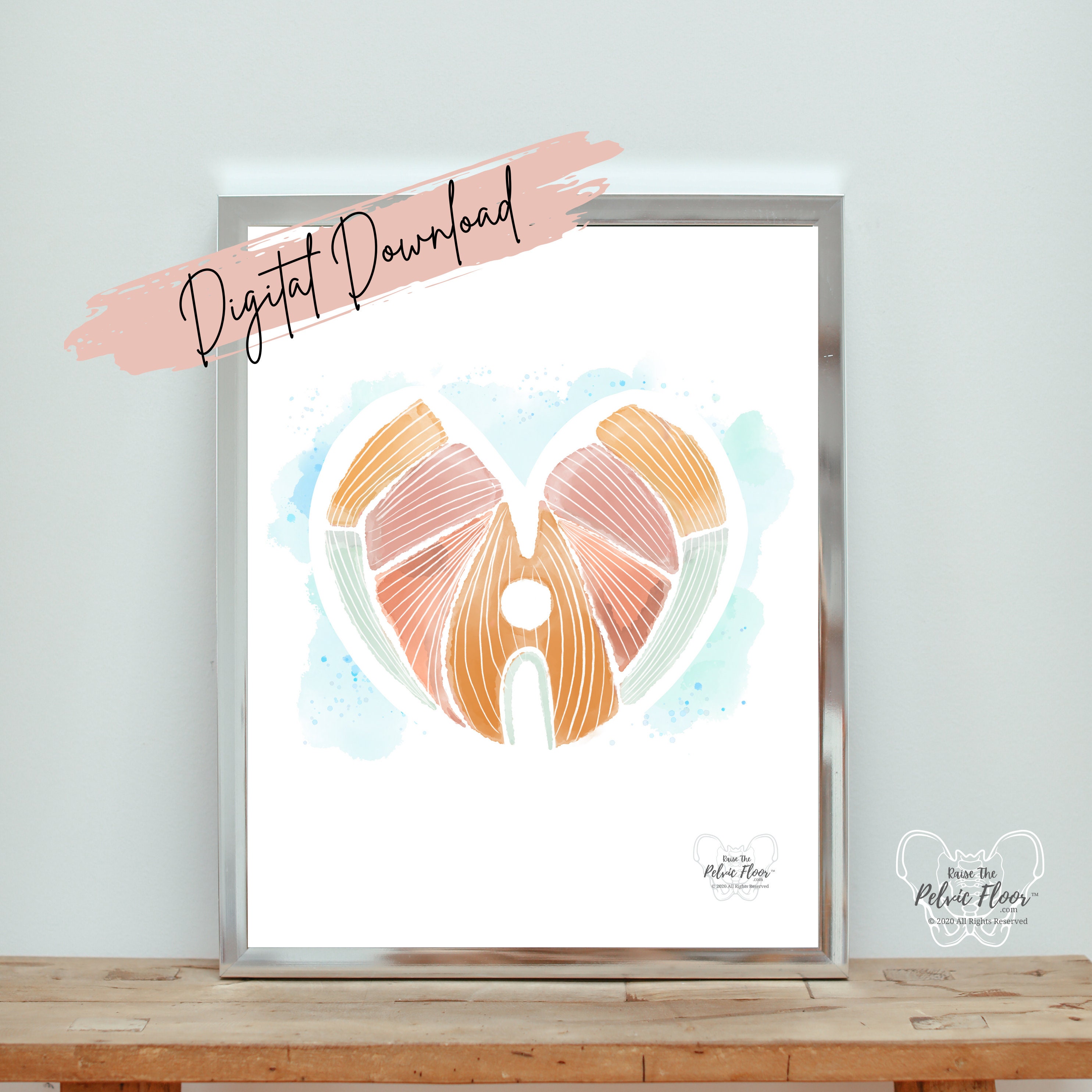 Pelvic Floor Art Abstract Watercolor DIGITAL DOWNLOAD* | Kegel Muscle ...