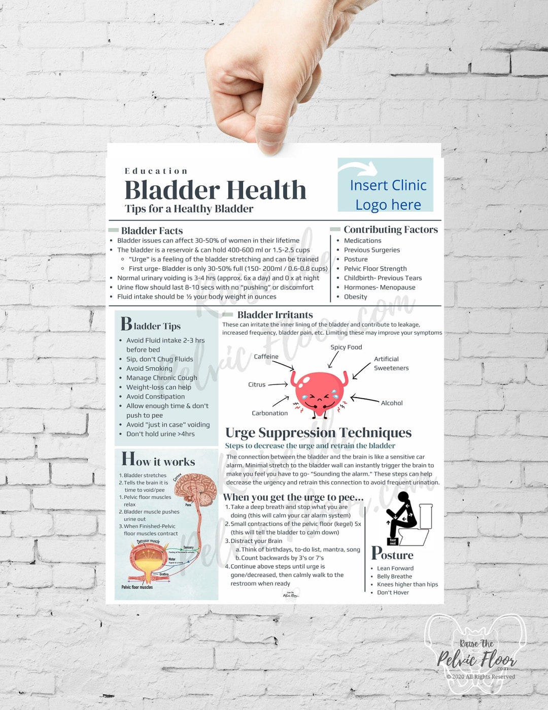 DIGITAL DOWNLOAD* Bladder Health Patient Education Handout | Bladder ...