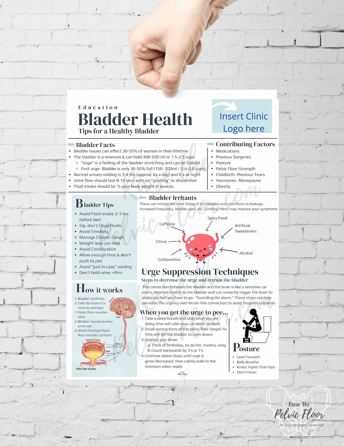 DIGITAL DOWNLOAD* Bladder Health Patient Education Handout | Bladder ...