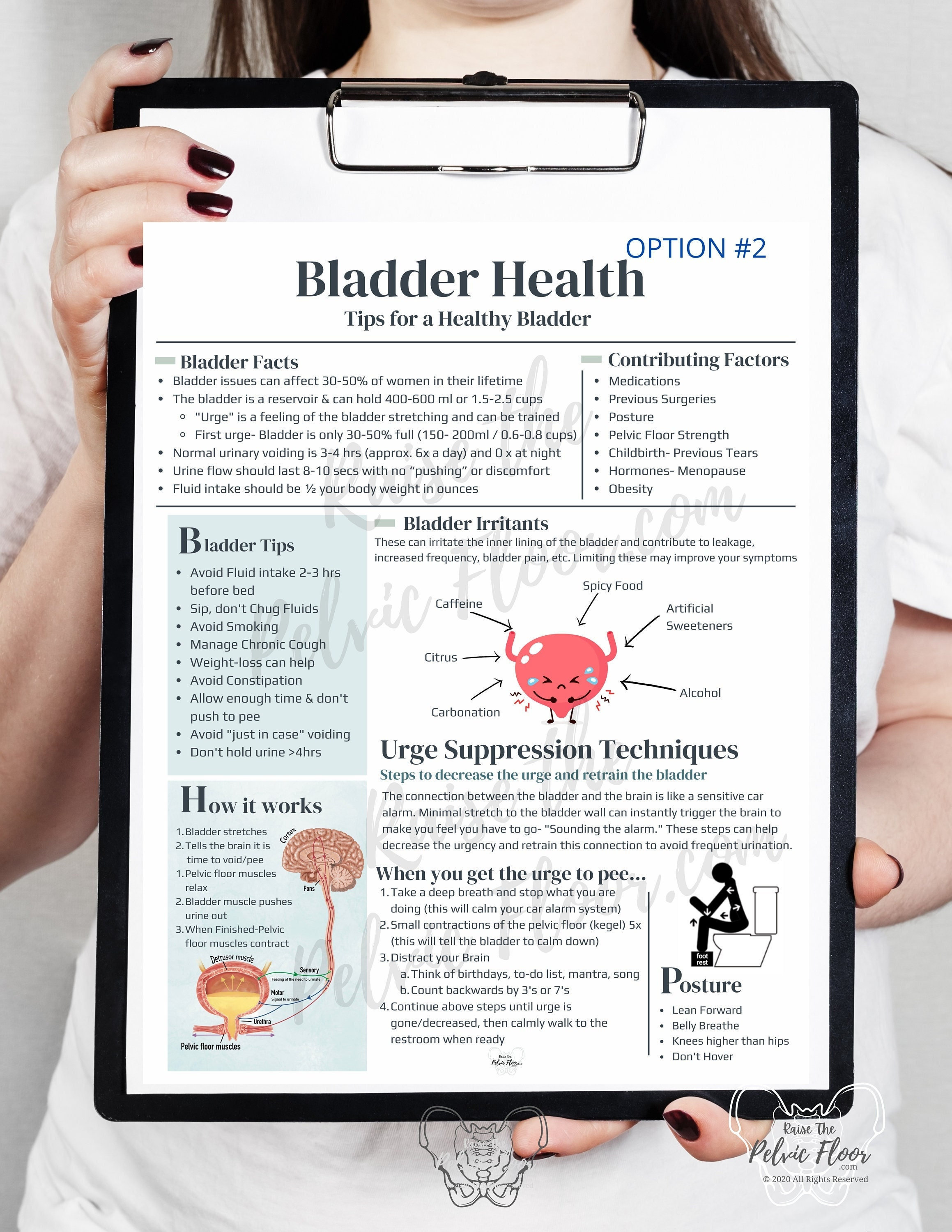 DIGITAL DOWNLOAD* Bladder Health Patient Education Handout | Bladder ...
