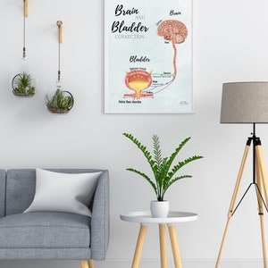 Brain and Bladder Educational Poster | Wall Art | Physiology of ...