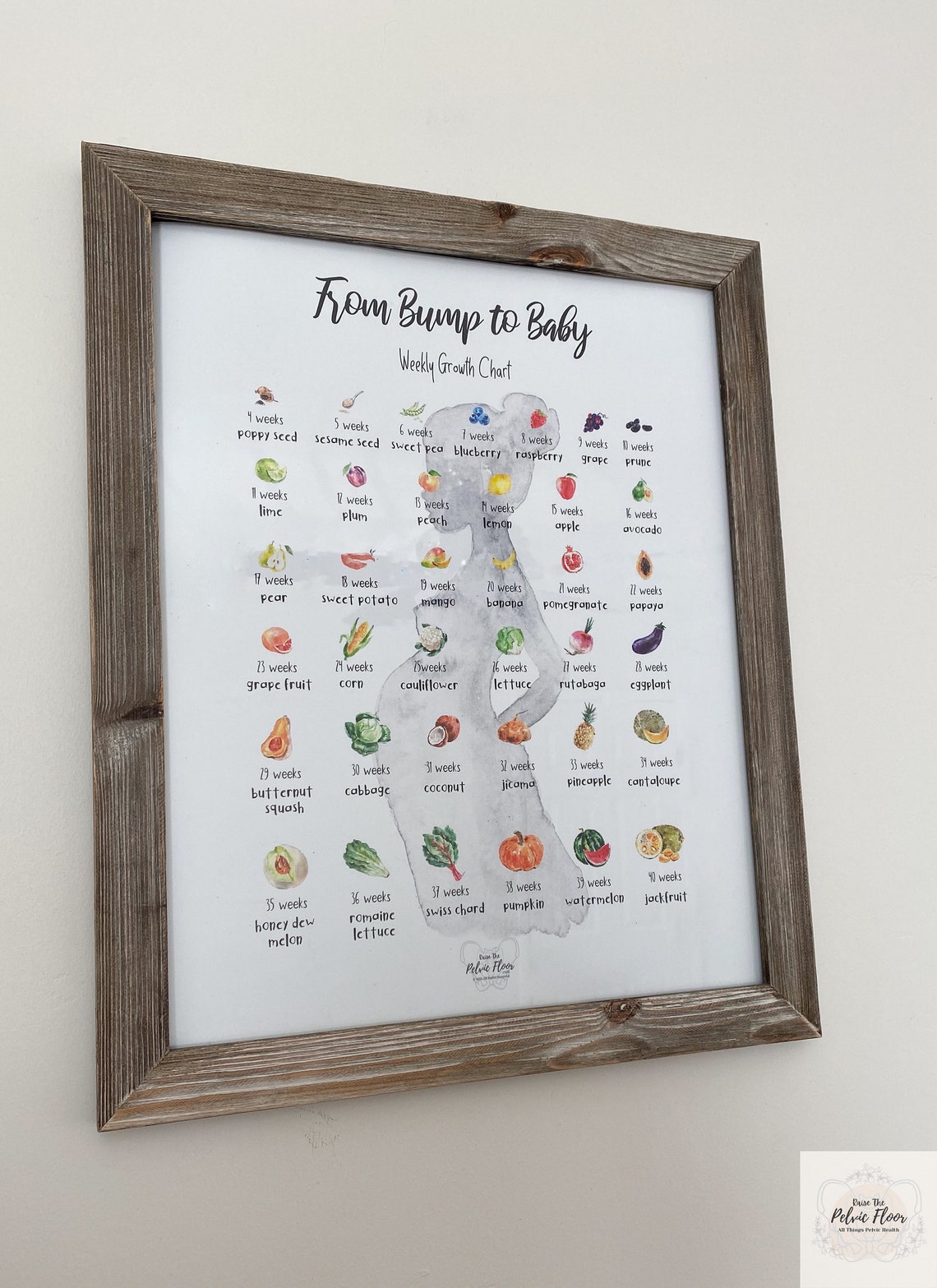 Digital Download*- Bump to Baby Weekly Fruit Growth Chart | Fetus/ Baby ...