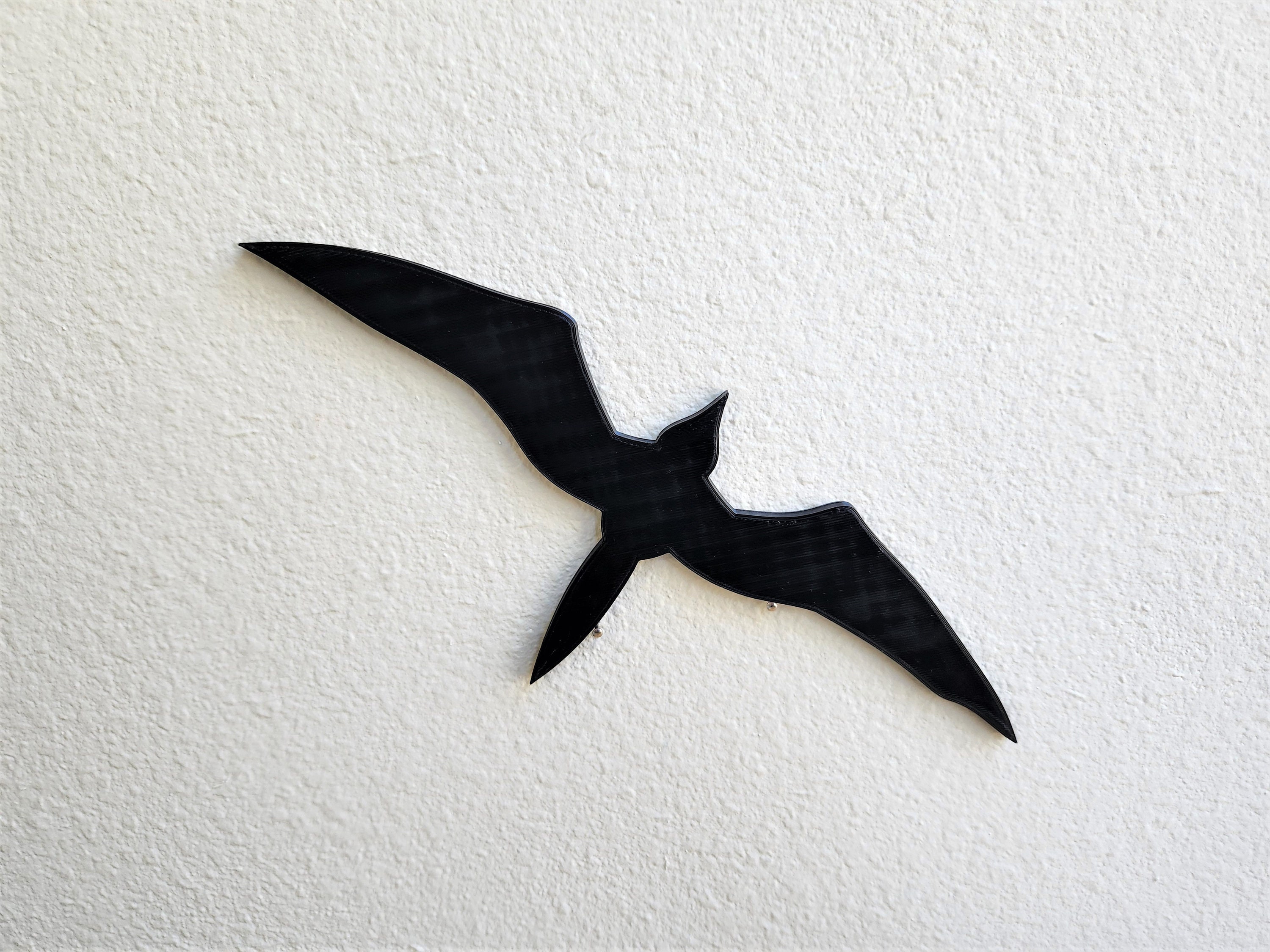 Frigate Wall Art Iwa Bird Wall Art Man of War Bird Decor - Etsy