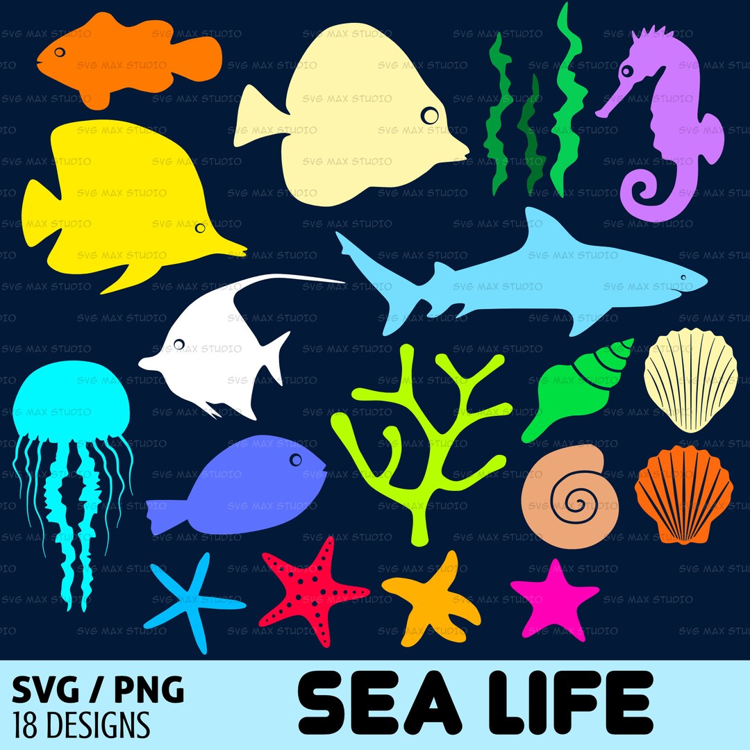 Ocean Svg, Png, Shark Svg, Seashell Svg, Coral Svg, Png, Sea Life Svg ...