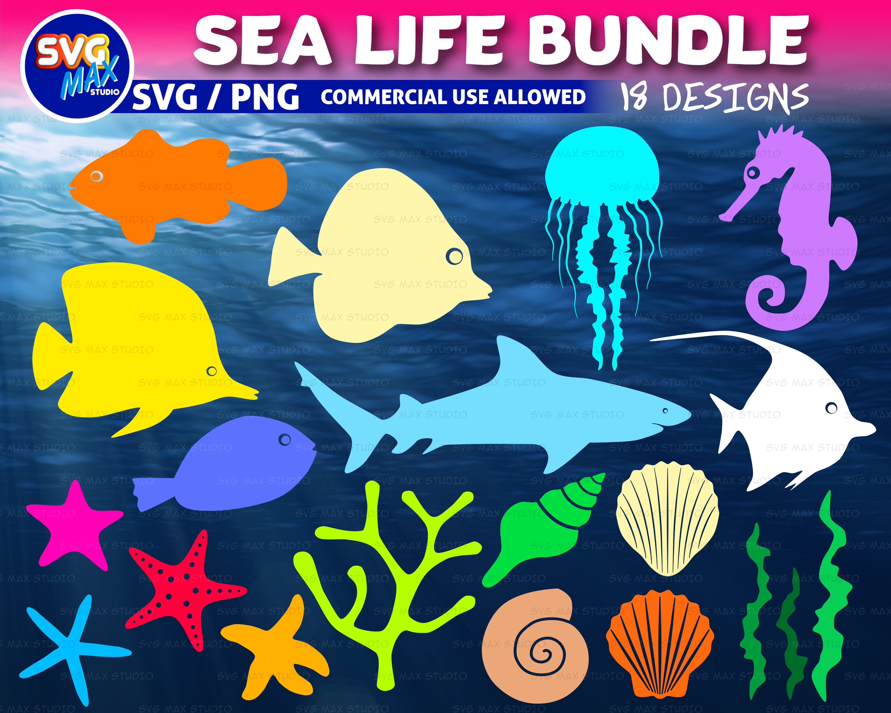 Ocean svg png shark svg seashell svg coral svg png sea | Etsy