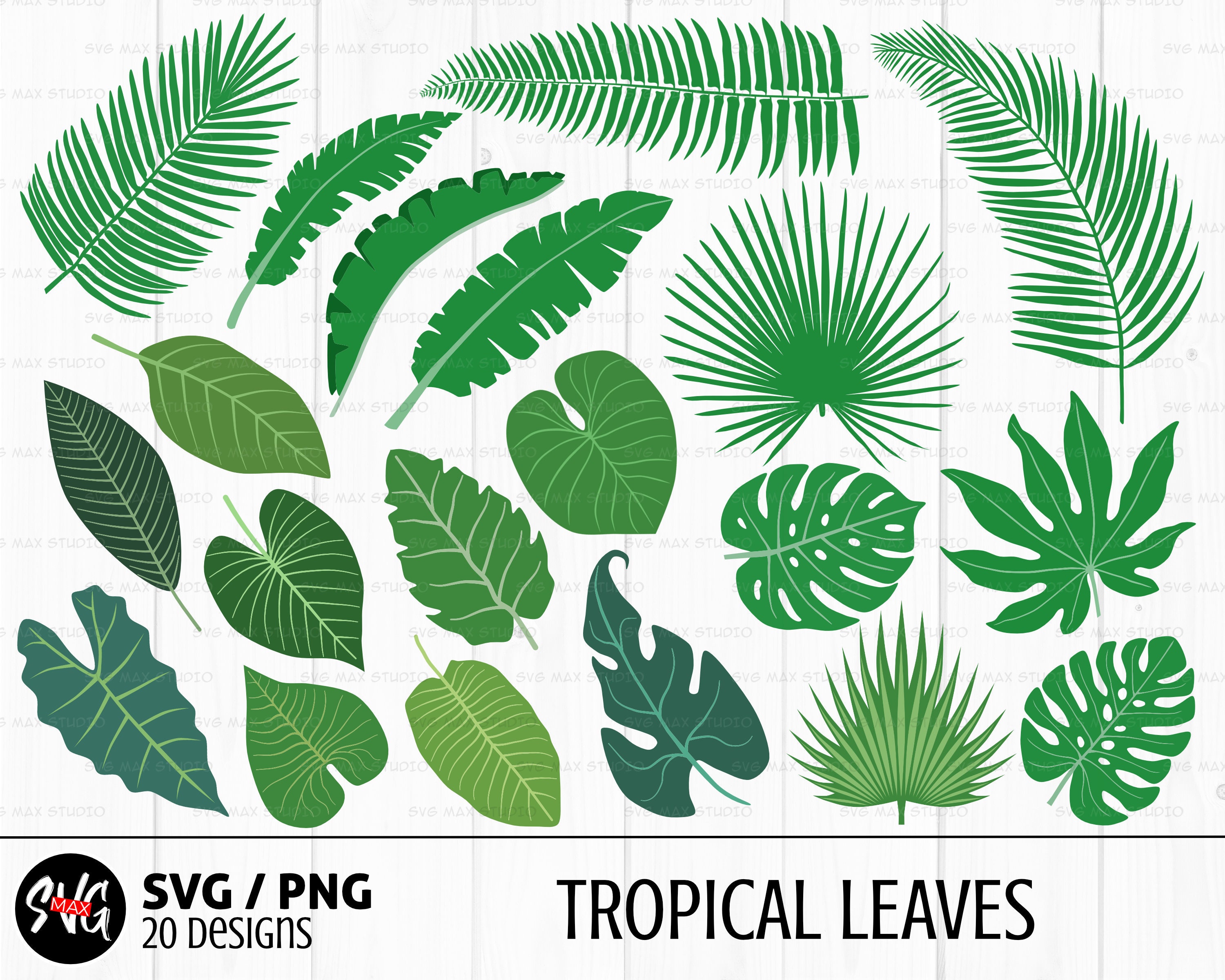 Leaves Svg Bundle Tropical Leaf Svg Monstera Svg Banana - Etsy