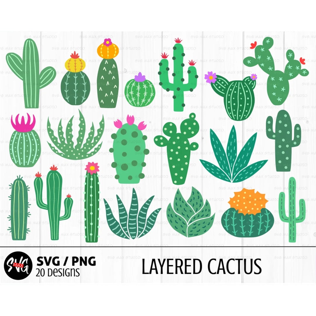 Cactus Svg Bundle, Succulent Svg, Desert Svg, Cactus Clipart, Baby ...