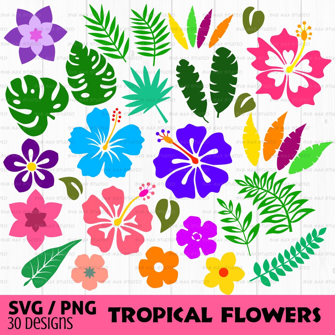 Flowers Svg, Flower Svg, Hibiscus Svg, Tropical Flower Svg, Hawaiian ...