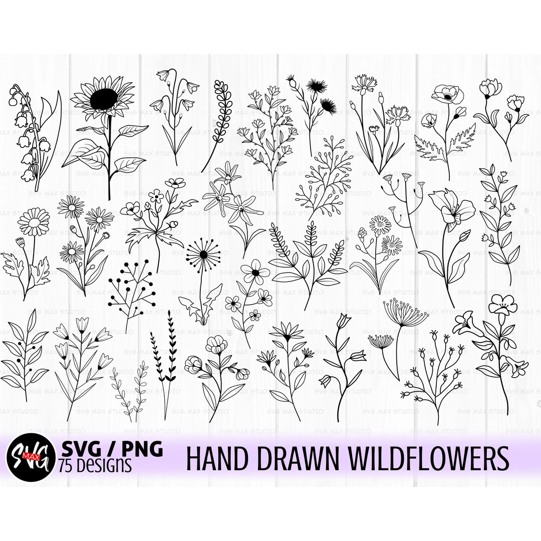 Wildflower Svg Bundle, Floral Svg, Flower Svg, Botanical Clipart, Field ...