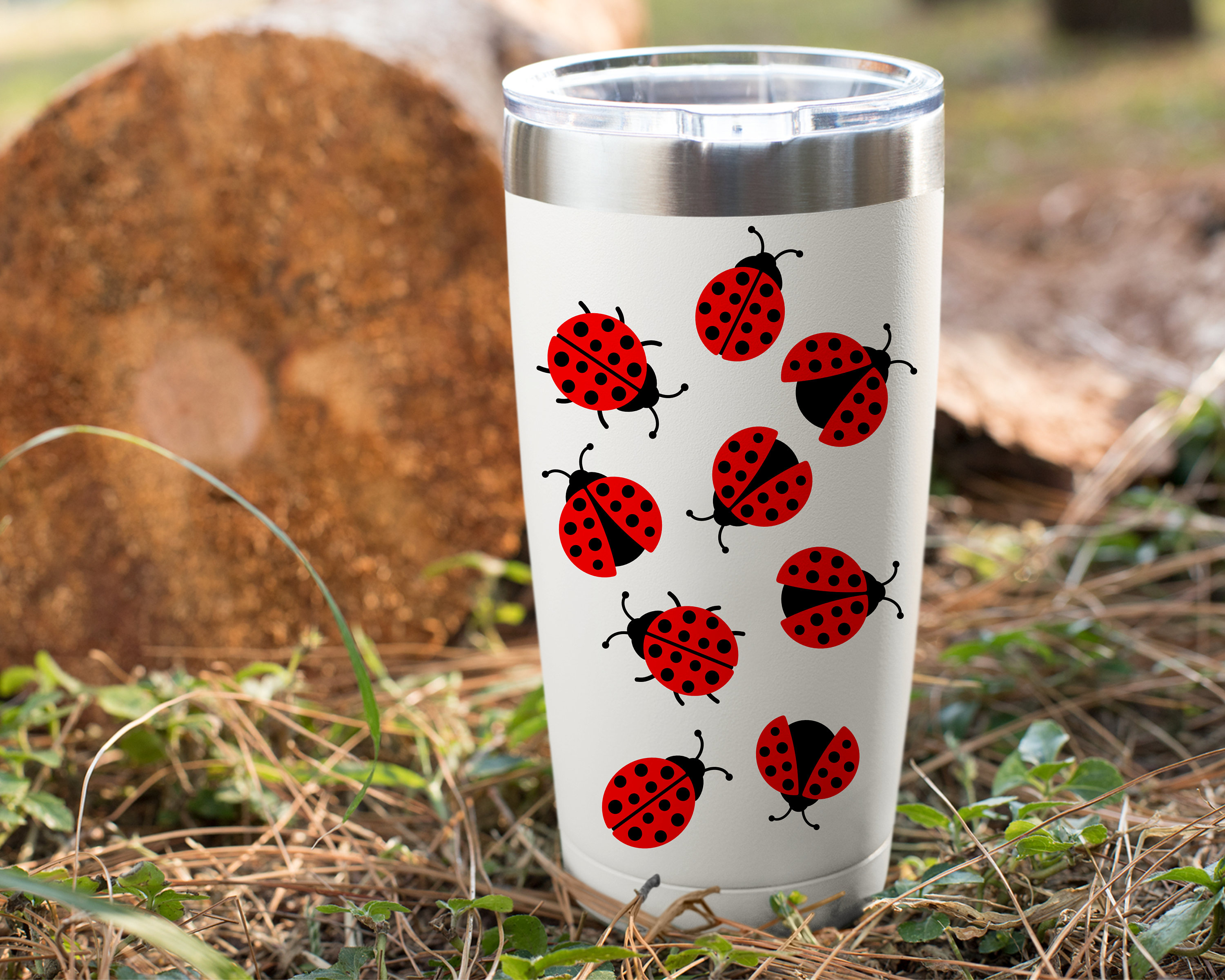 Ladybug Svg Bundle Cute Ladybug Svg Love Bug Svg Ladybug - Etsy