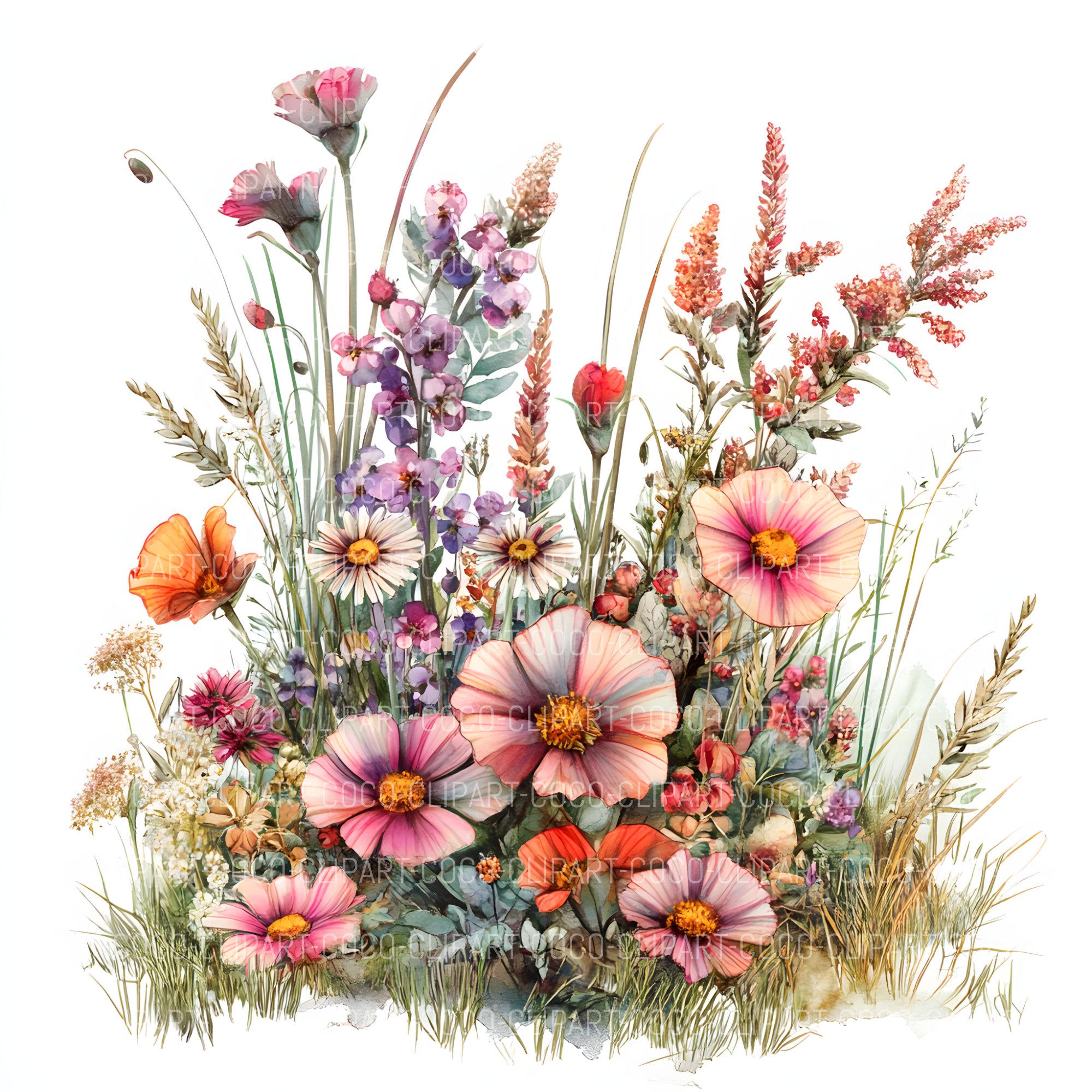 Wildflower Flowerbed Clipart, Watercolor Flowers Jpg, Paper Craft ...