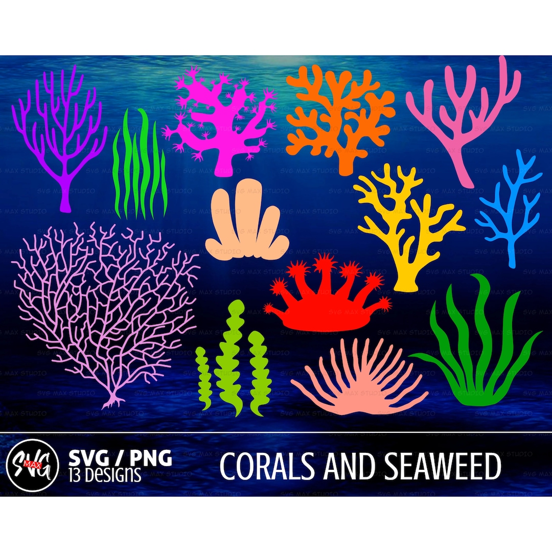 Coral Svg Bundle, Seaweed Svg, Png, Sea Life Svg, Under the Sea Svg ...