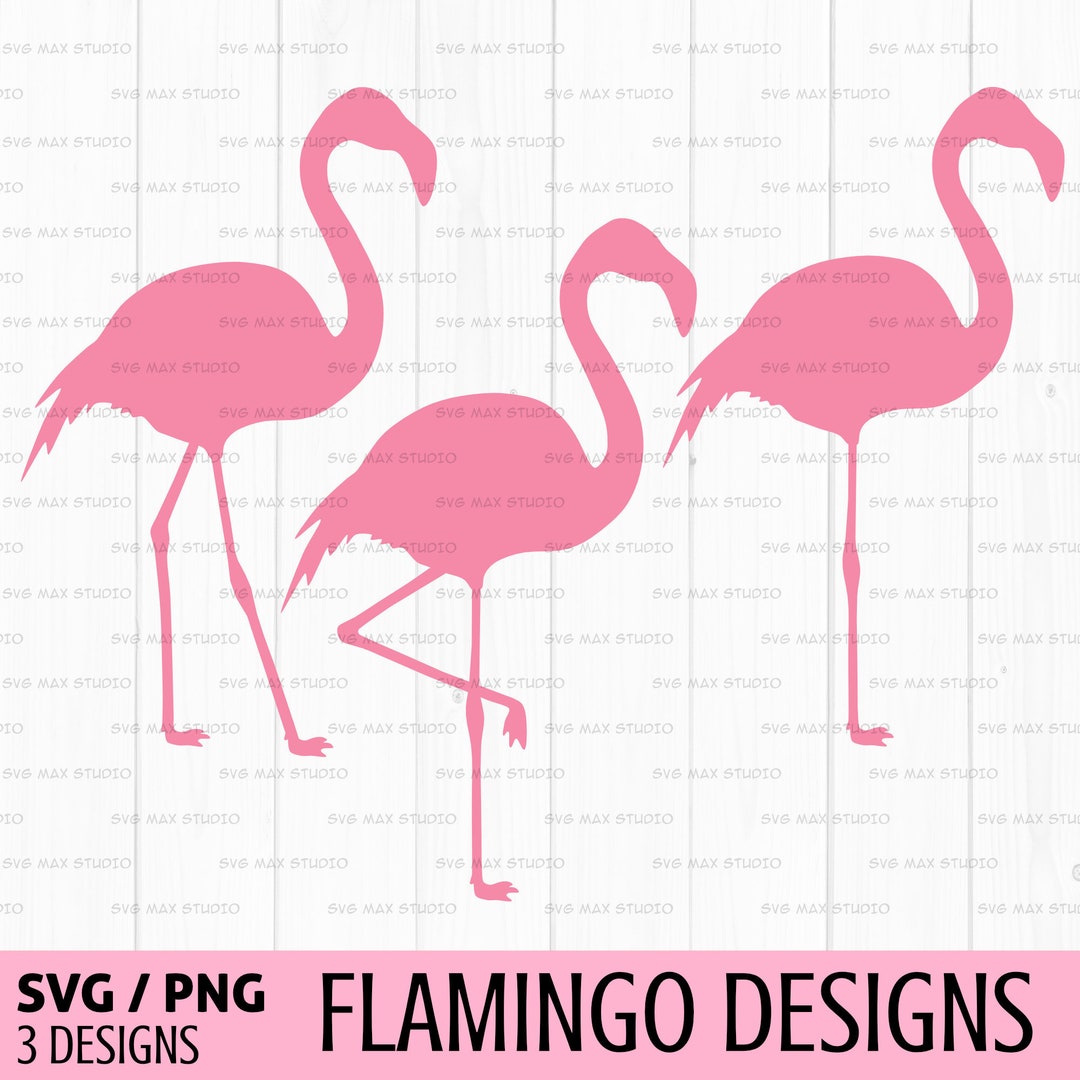 Pink Flamingo Svg, Bird Svg, Flamingo Party Svg, Tropical Svg, Beach ...