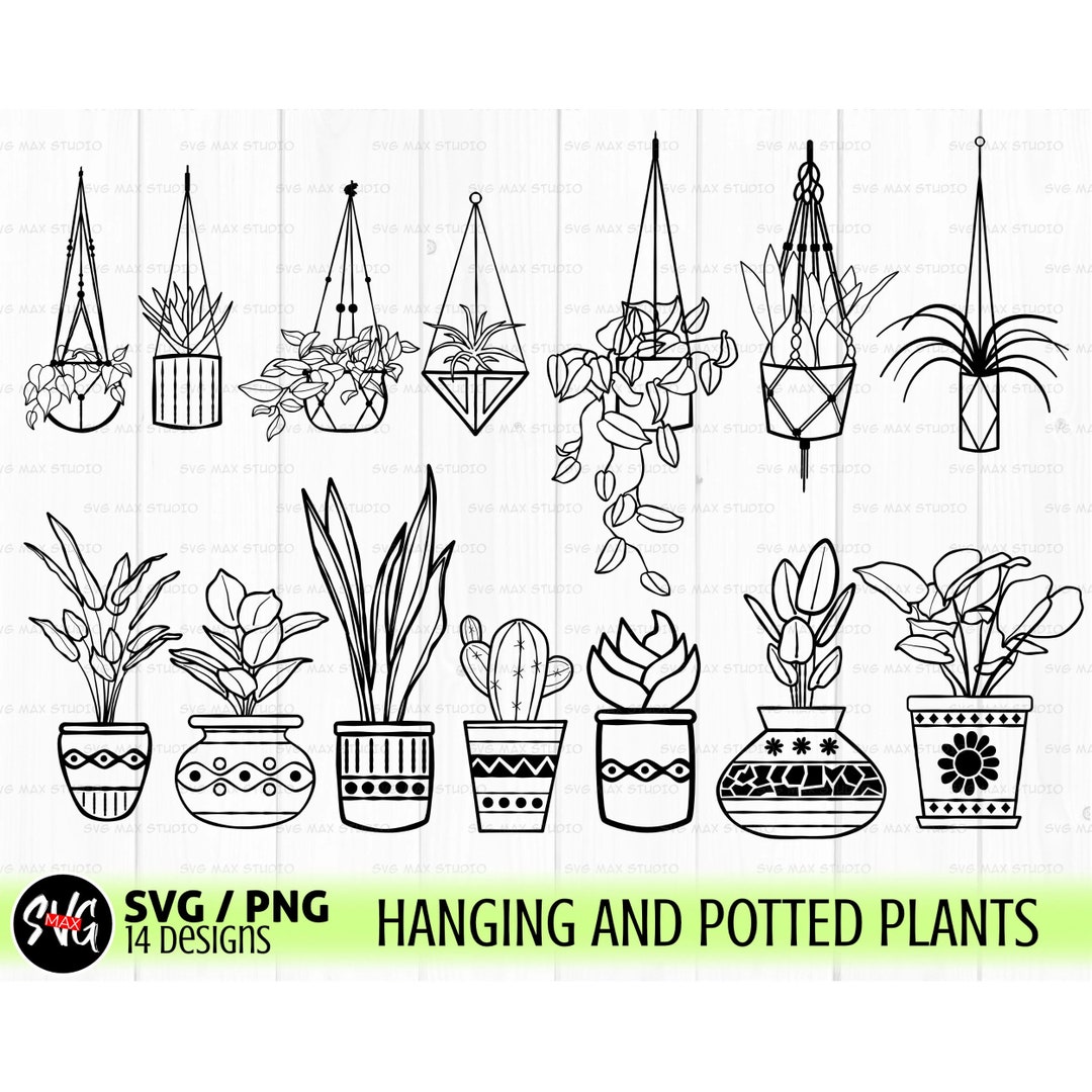 Hanging Plants Svg Bundle, Gardening Svg, Succulent Svg, Hanging ...