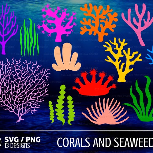 Nautical Ocean Life Svg. Under Water Coral Reef Svg. Seaweed - Etsy