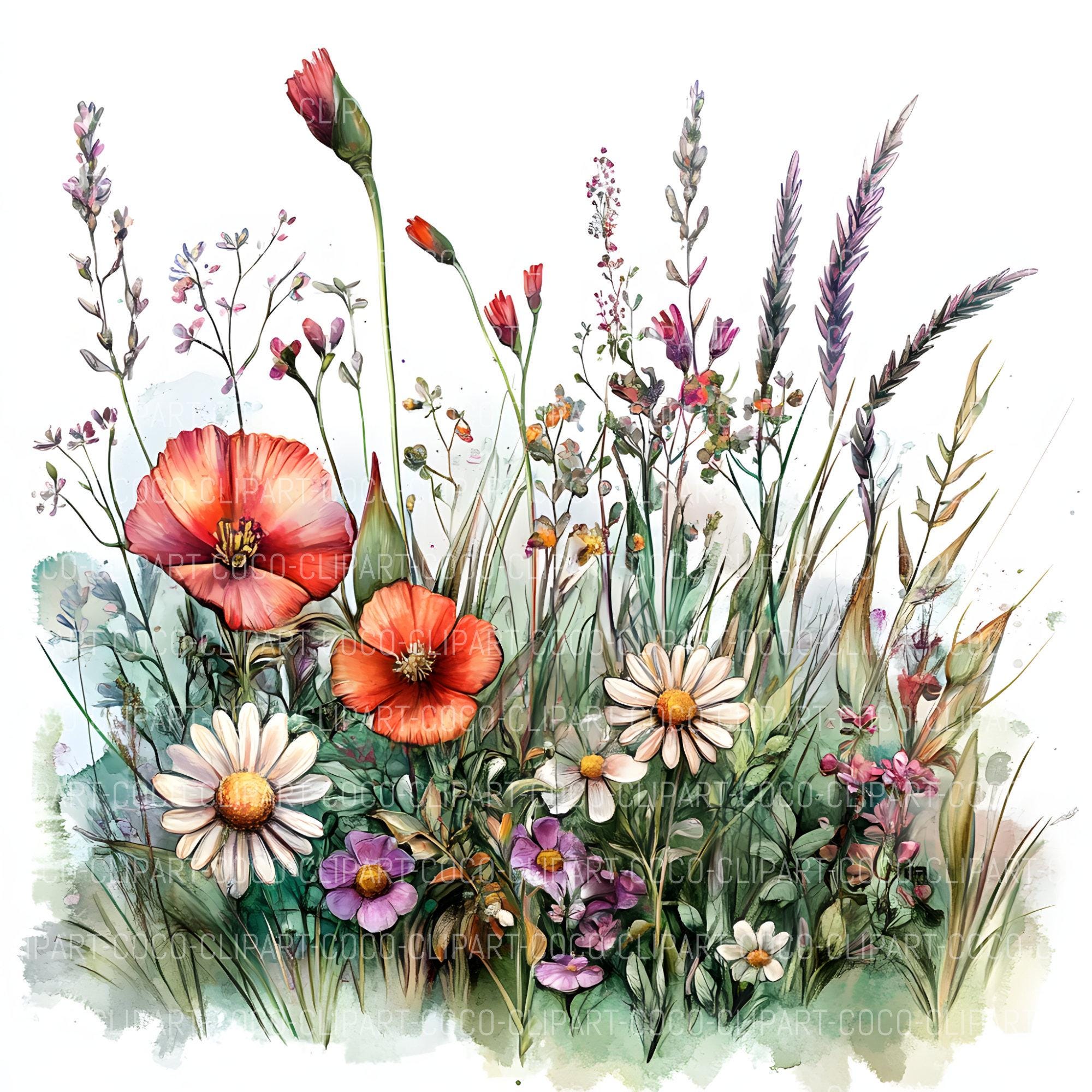 Wildflower Flowerbed Clipart, Watercolor Flowers Jpg, Paper Craft ...
