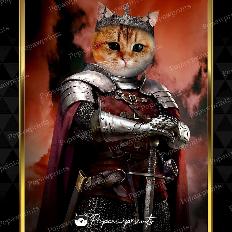 Cat Armor - Etsy