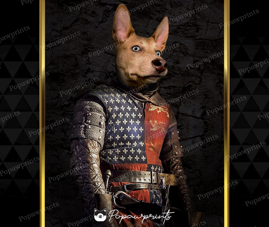 Custom Pet Portrait in Male Knight Armor - Custom Pet Drawing - Custom ...