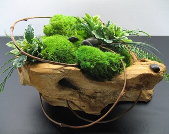 Preserved Moss - Etsy