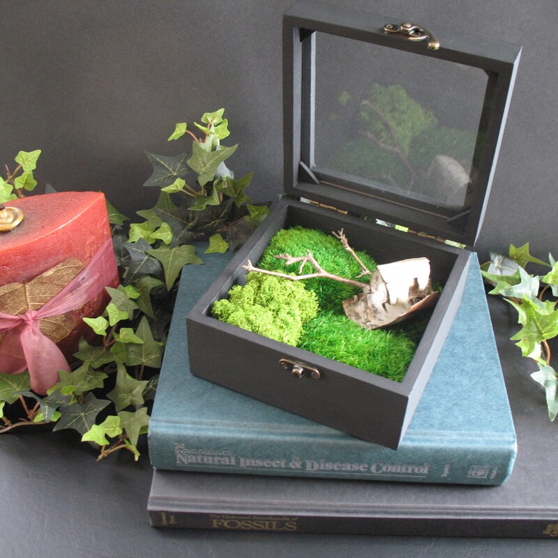 Moss Arrangement - Etsy
