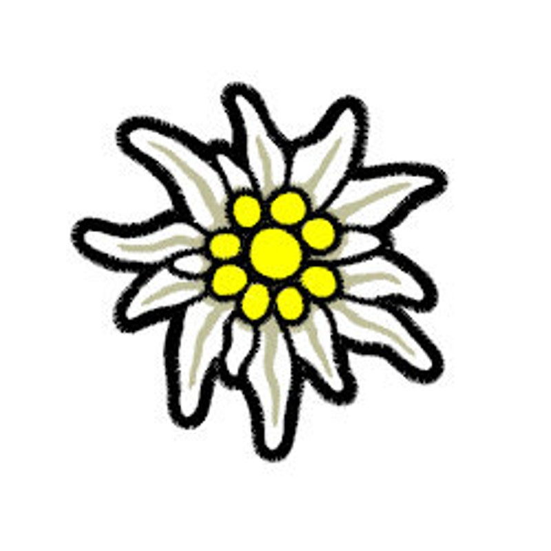 Edelweiss Embroidery - Etsy