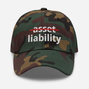 Funny Asset or Liability Hat Embroidered Adjustable Dad Hat Which Are You Funny Baseball Cap ...