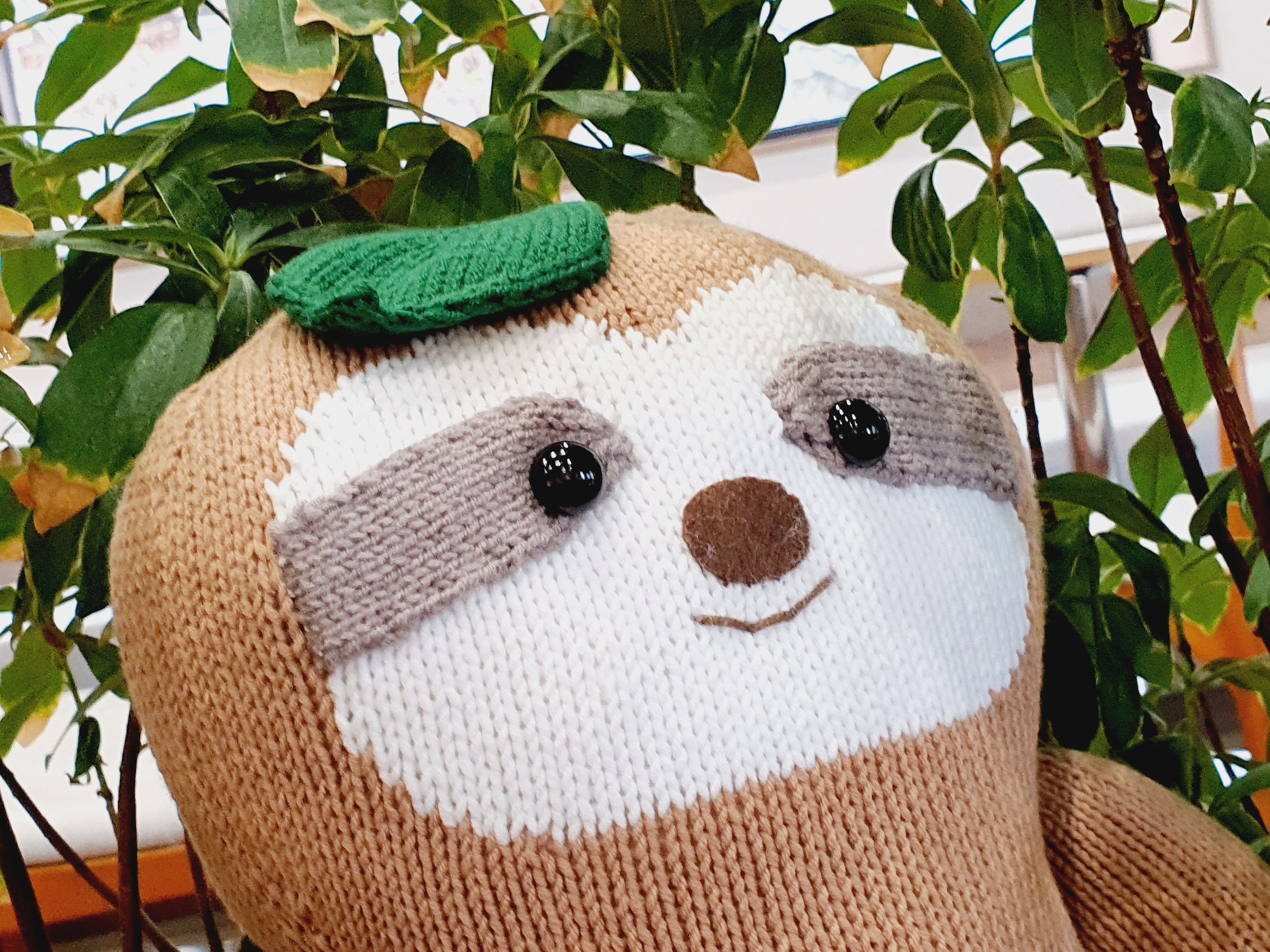 Three-toes Sloth Knitting PATTERN : Pattern PDF Instant - Etsy